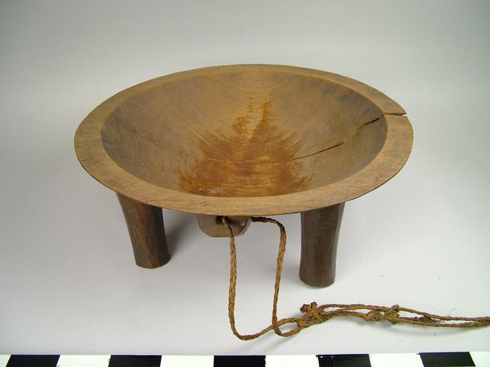 Grand Rapids Public Museum Collections